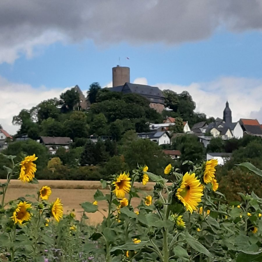 Umwelt, Energie & Verkehr › SPD Wettenberg